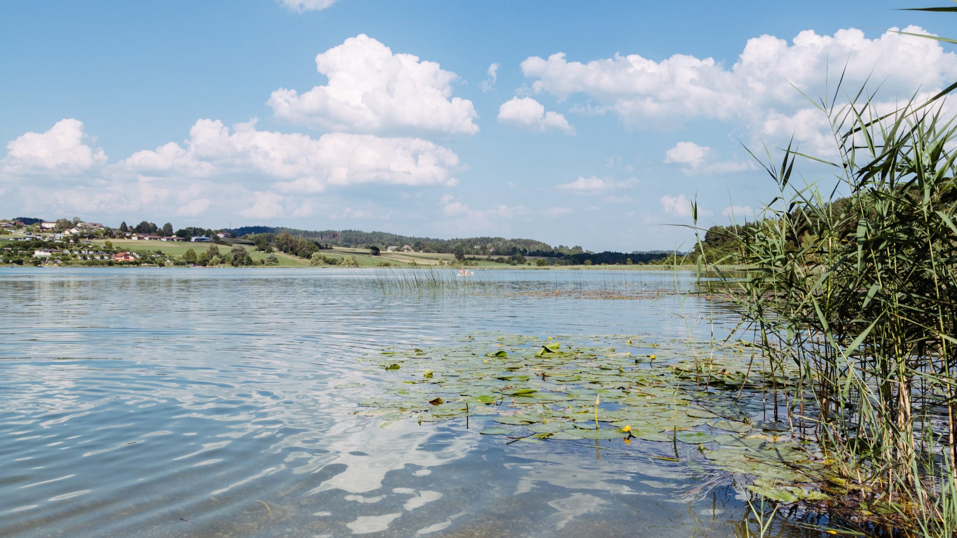 Ferienwohnung in Kärnten mit Pool | Klopeiner See | Turnersee